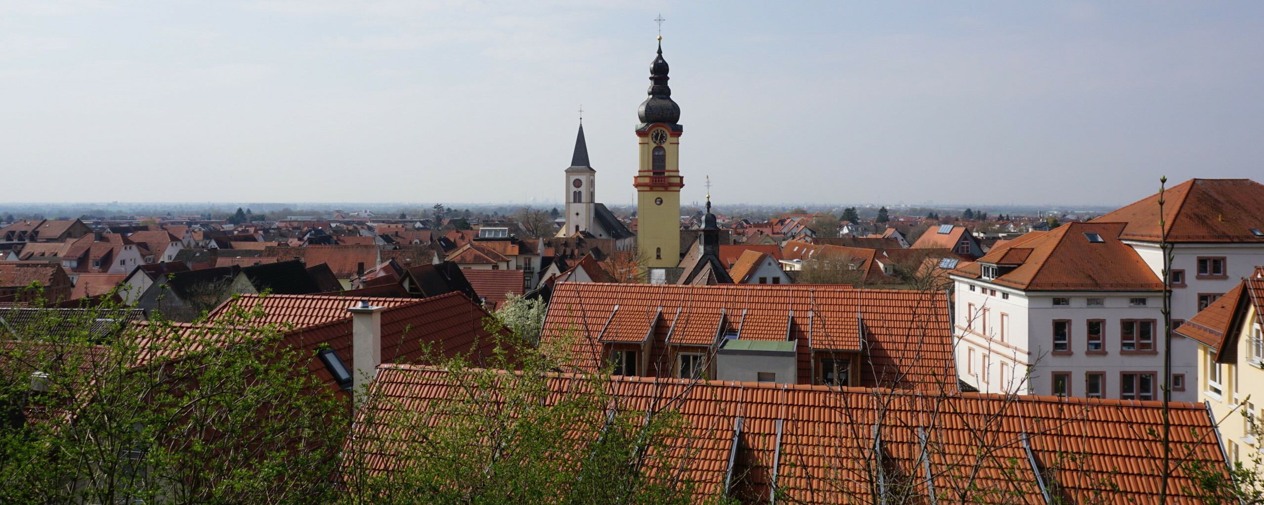 Matthias G. Weigel – Immobilienmakler und Unternehmensberatung